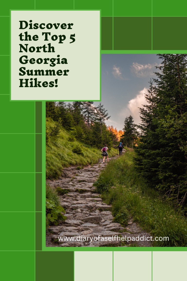 Discover the Top 5 Hikes in North Georgia for Summer Adventures - Diary ...