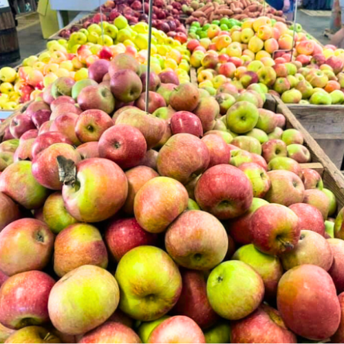 The Best Apple Orchards to Visit in Ellijay, Georgia, This Fall - Diary ...