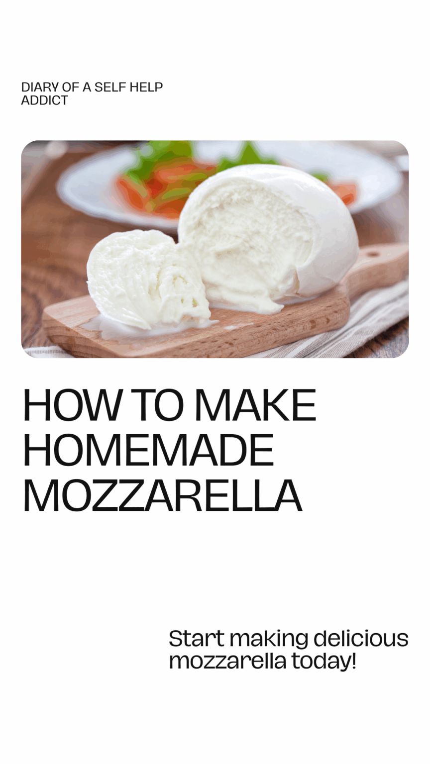 How to Make Homemade Mozzarella with the New England Cheesemaking Kit ...